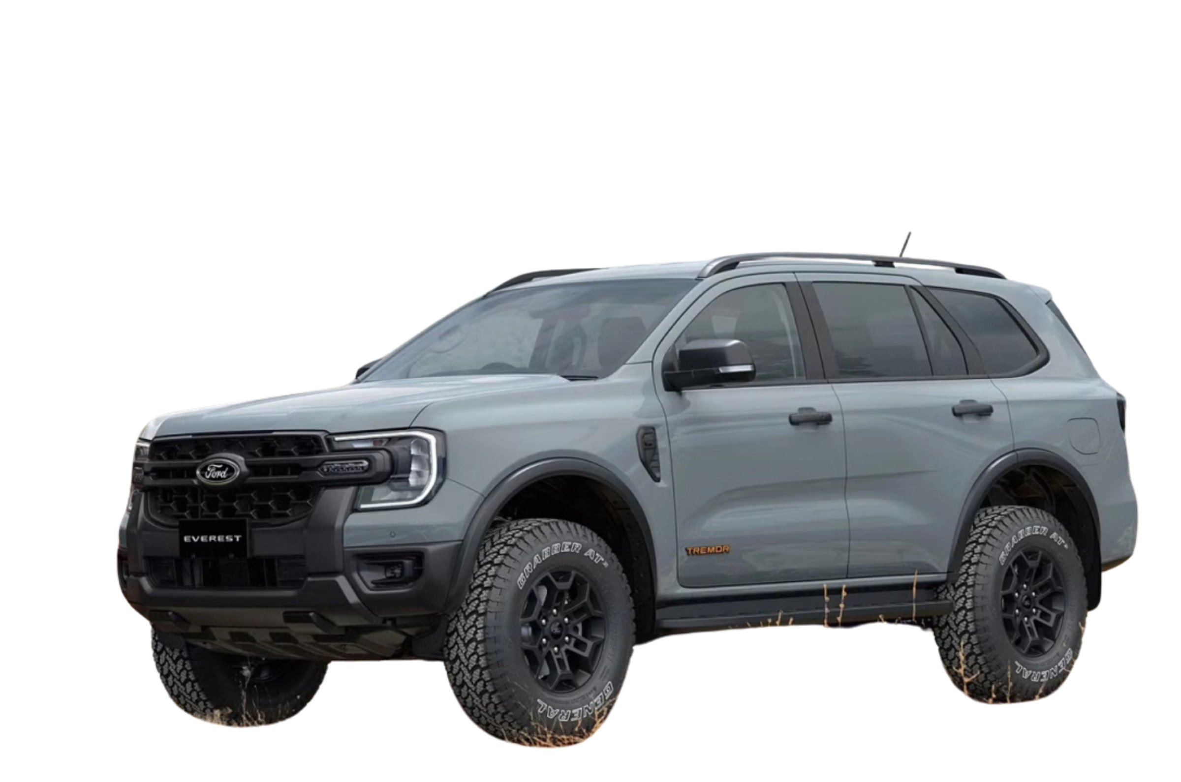 FORD EVEREST - Pincar